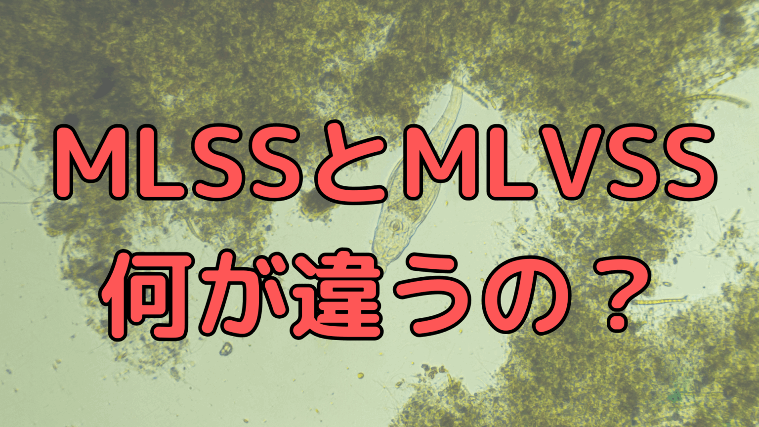 MLSSとMLVSSの定義と水処理における役割の違いについて - Water Digital LLC Water Digital LLC